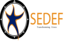 Home | Daffodil Computers PLC.